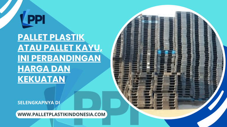 Pallet Plastik atau Pallet Kayu, Ini Perbandingan Harga dan Kekuatan ...